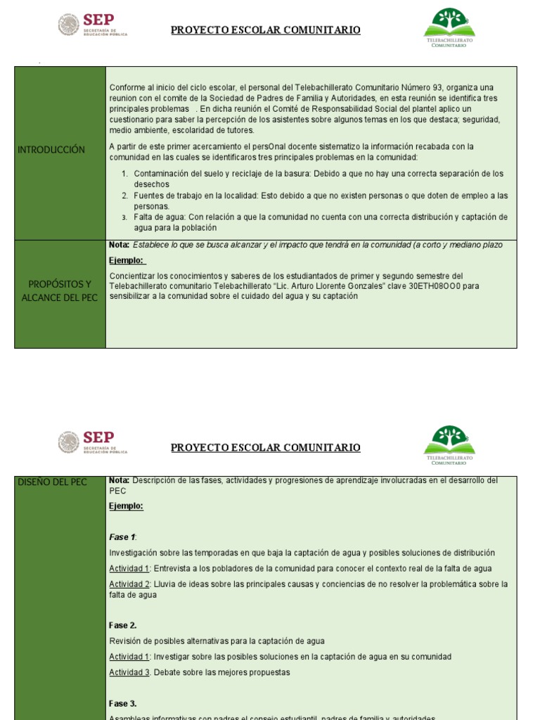 Formato Pec | PDF