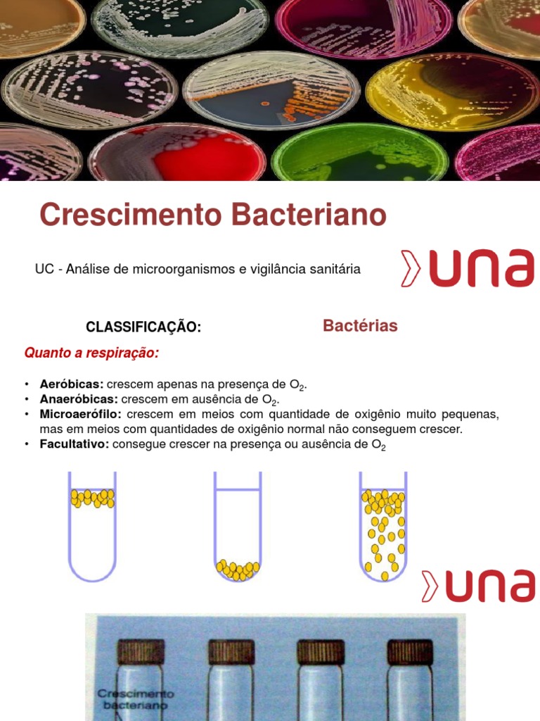 Aula - Crescimento Bacteriano | PDF | Bactérias | Célula (Biologia)