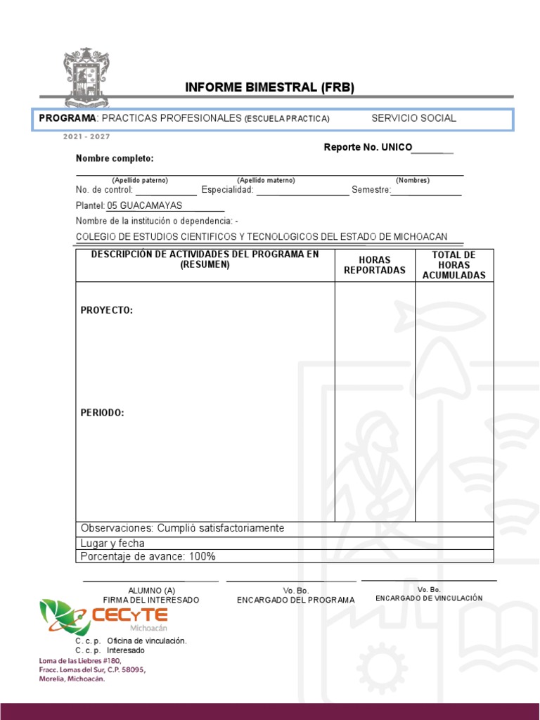 REPORTE SS y PP NUEVA HOJA | PDF