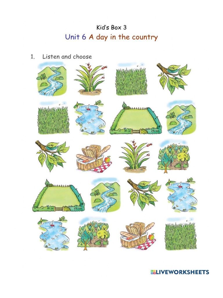 Kids Box Unit 6 | PDF