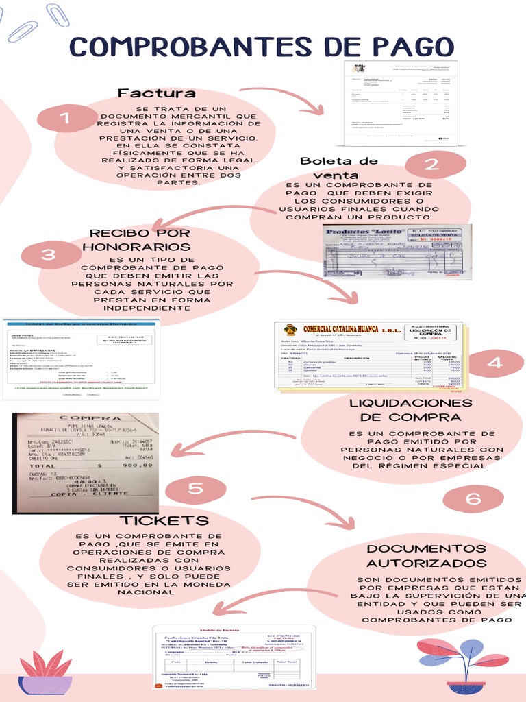 Infografia Comprobantes de Pago | PDF