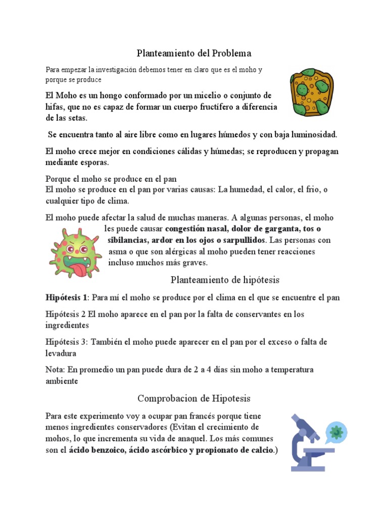 Causas del Moho en el Pan | PDF | Molde | Hongo