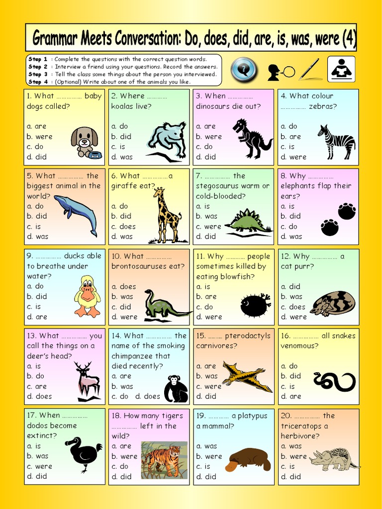 Do and Does: Animal Questions Exercise | PDF | Mammals | Organisms