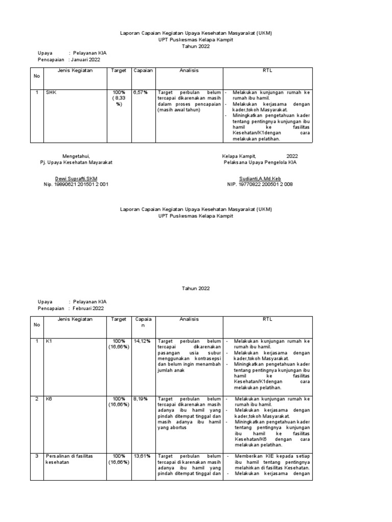Laporan Capaian Kegiatan SHK | PDF