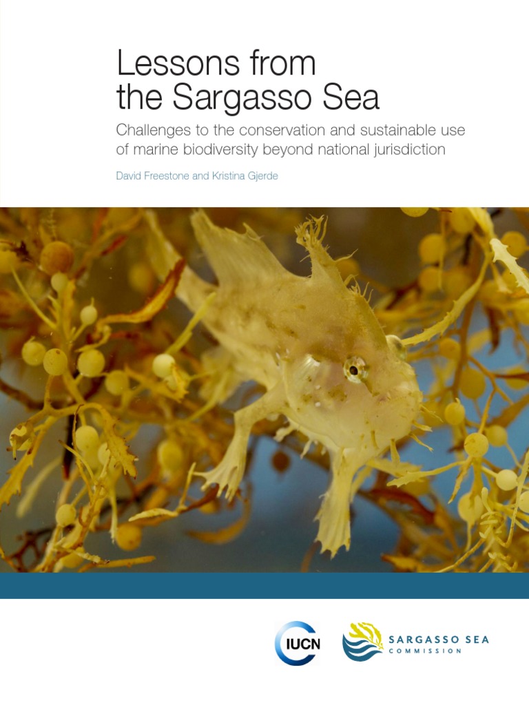 Sargasso Sea Commission Lessons Learned | PDF | Sea | Atlantic Ocean