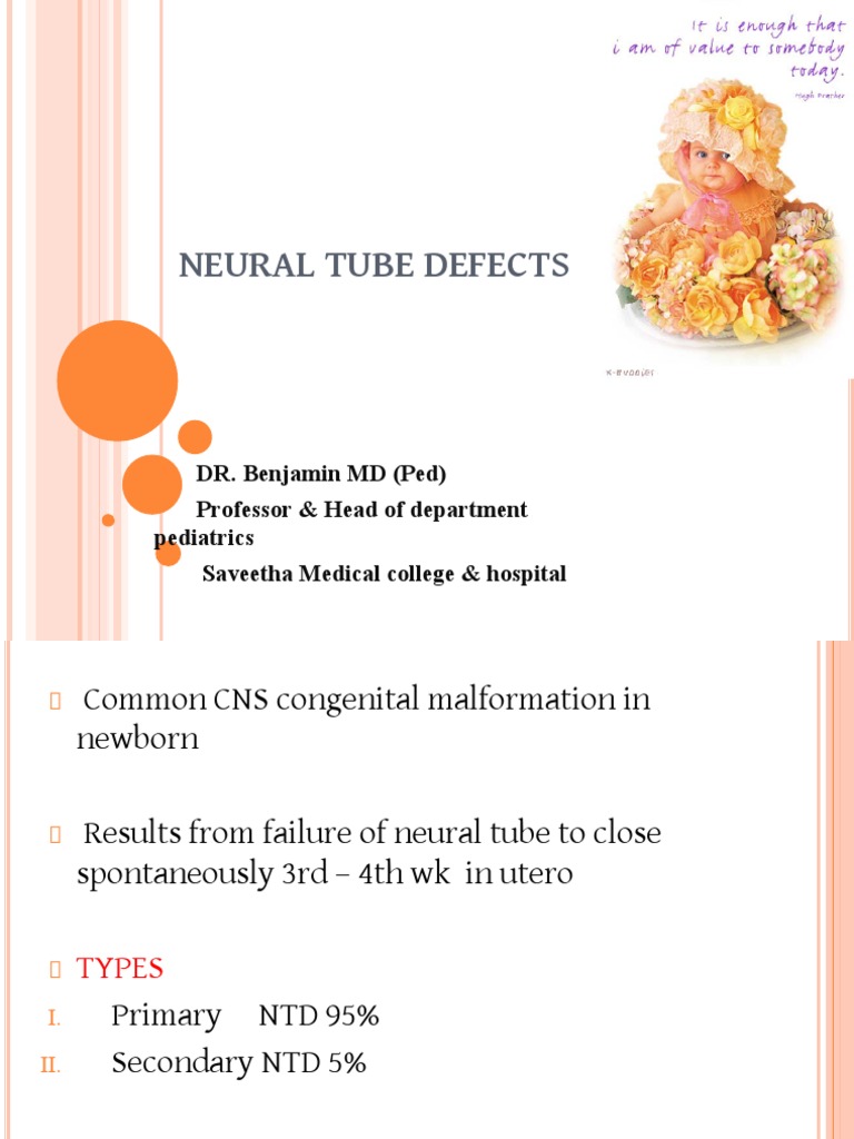 Understanding Neural Tube Defects | PDF | Vertebral Column | Vertebra