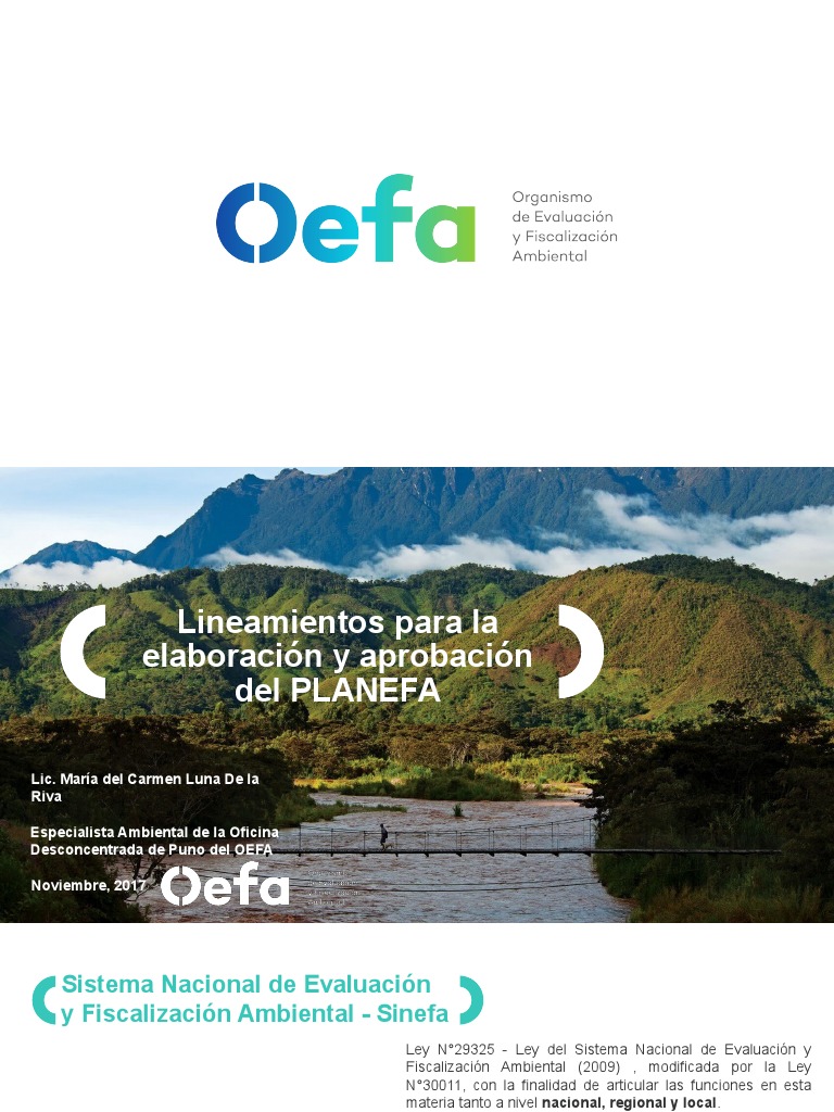 Lineamientos para La Elaboracion y Aprobacion Del PLANEFA | PDF