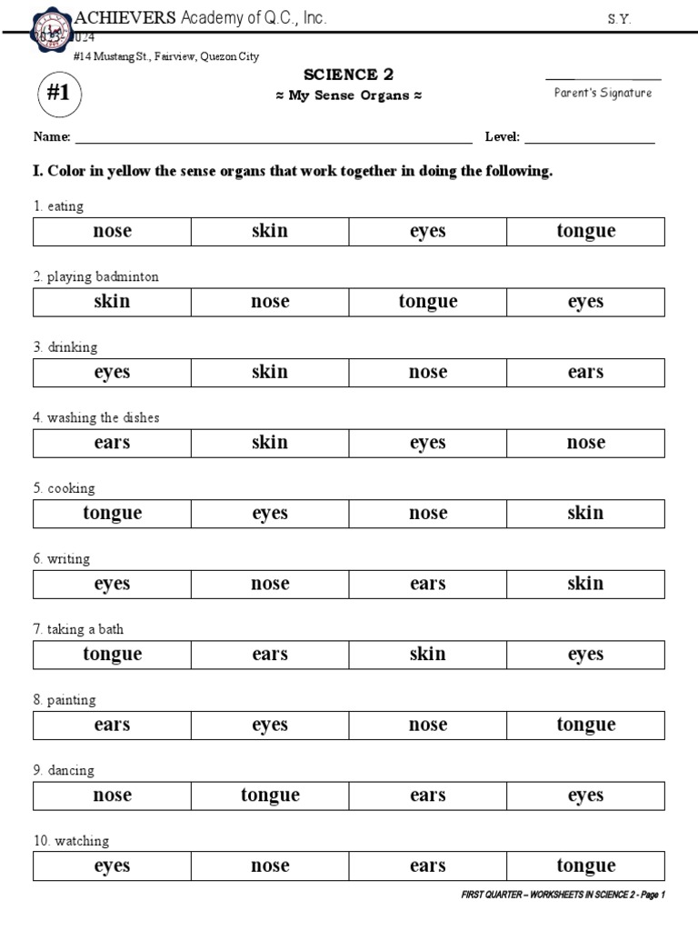 1Q - WS - 1 - Sense Organs That Work Together | PDF