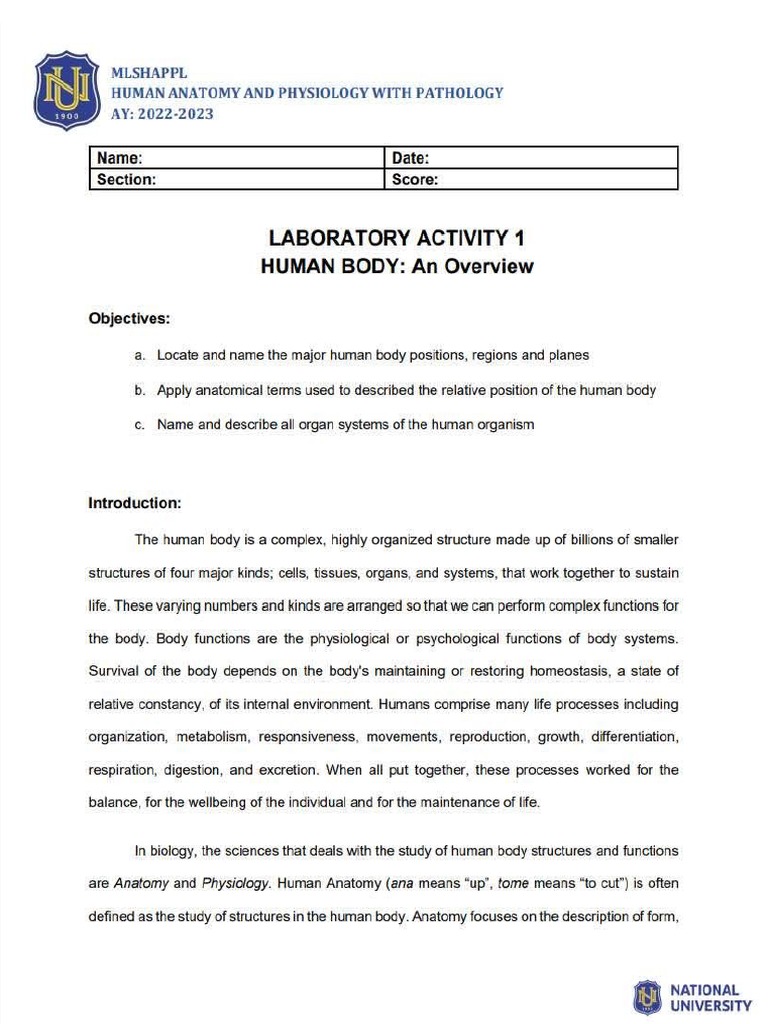 Laboratory Activity 1 | PDF