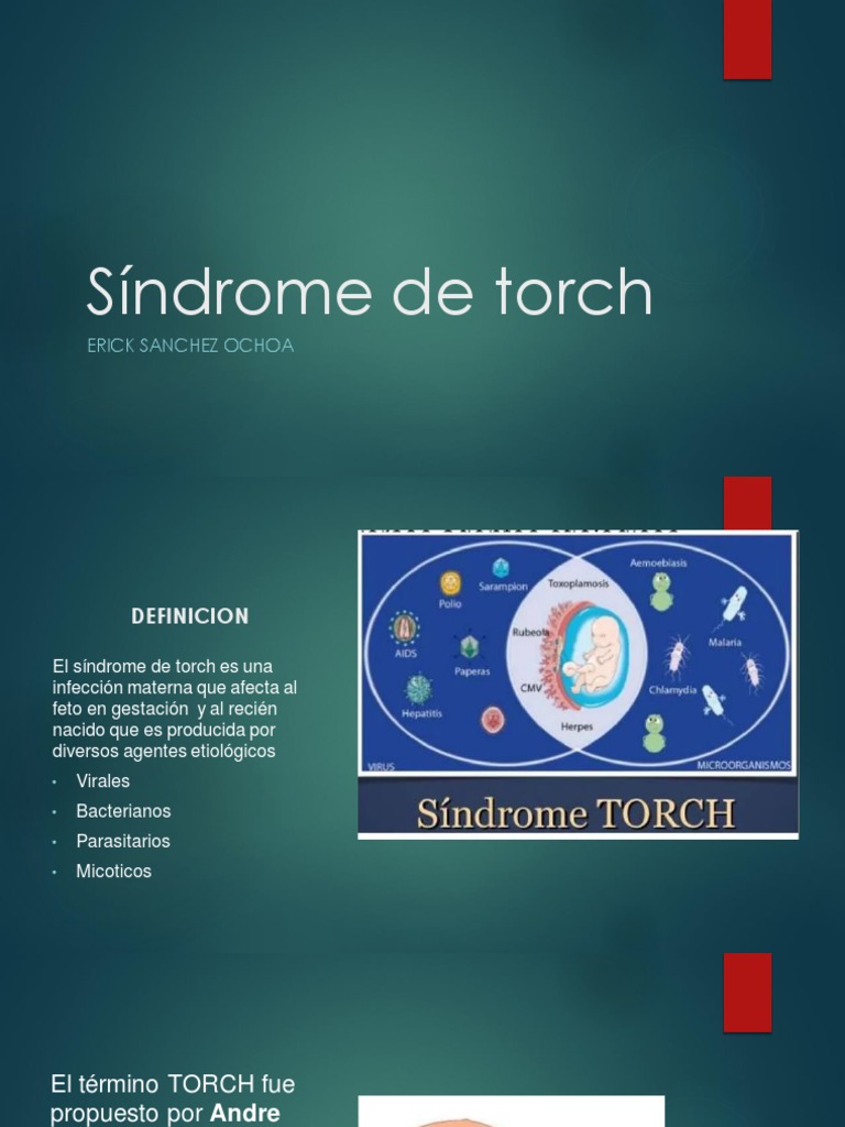 Sindrome de Torch | PDF | Infección | El embarazo