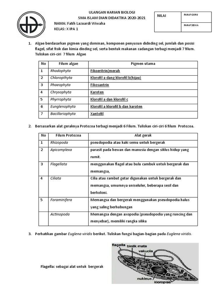 UH BIO PROTISTA 2020-2021 Fatih | PDF