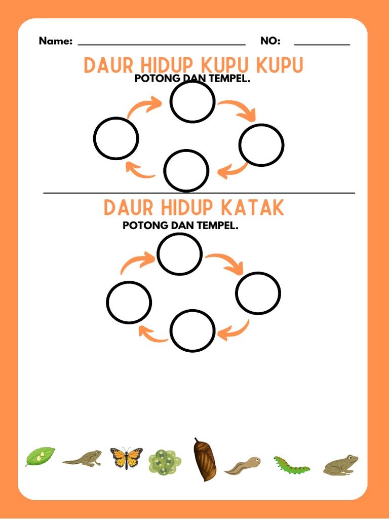 Life Cycle of Animals Cut and Paste Worksheets | PDF