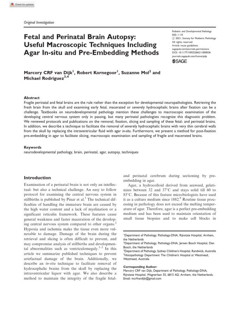 Fetal and Perinatal Brain Autopsy - Useful Macroscopic Techniques ...