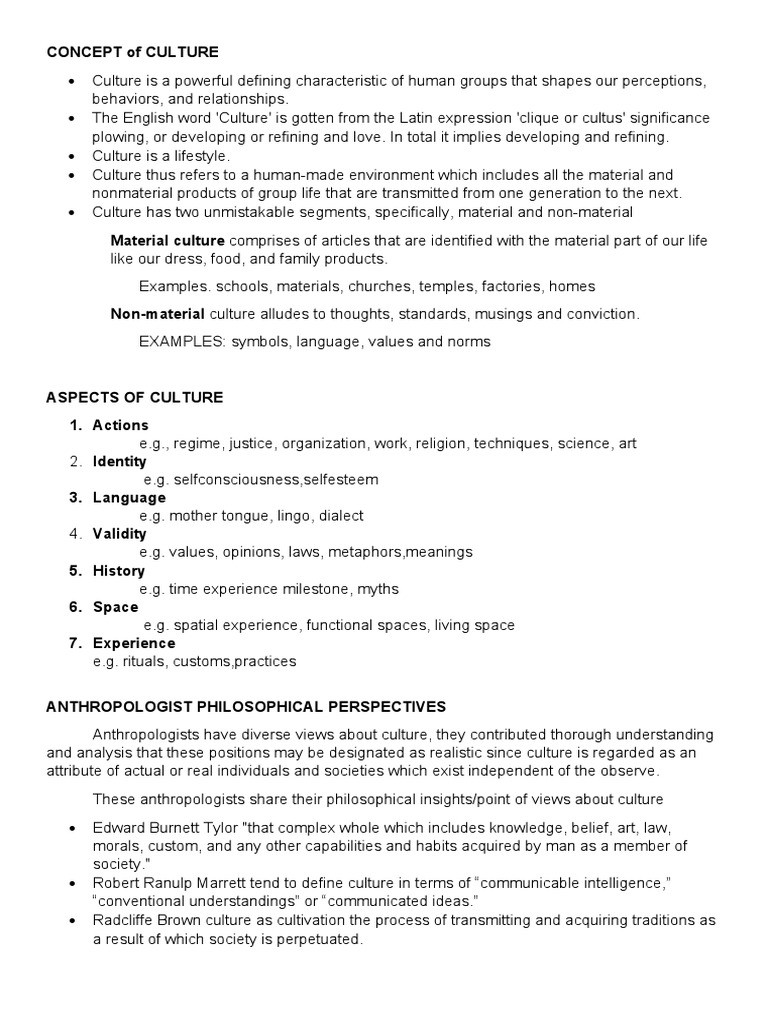 Understanding Culture and Society Concepts | PDF