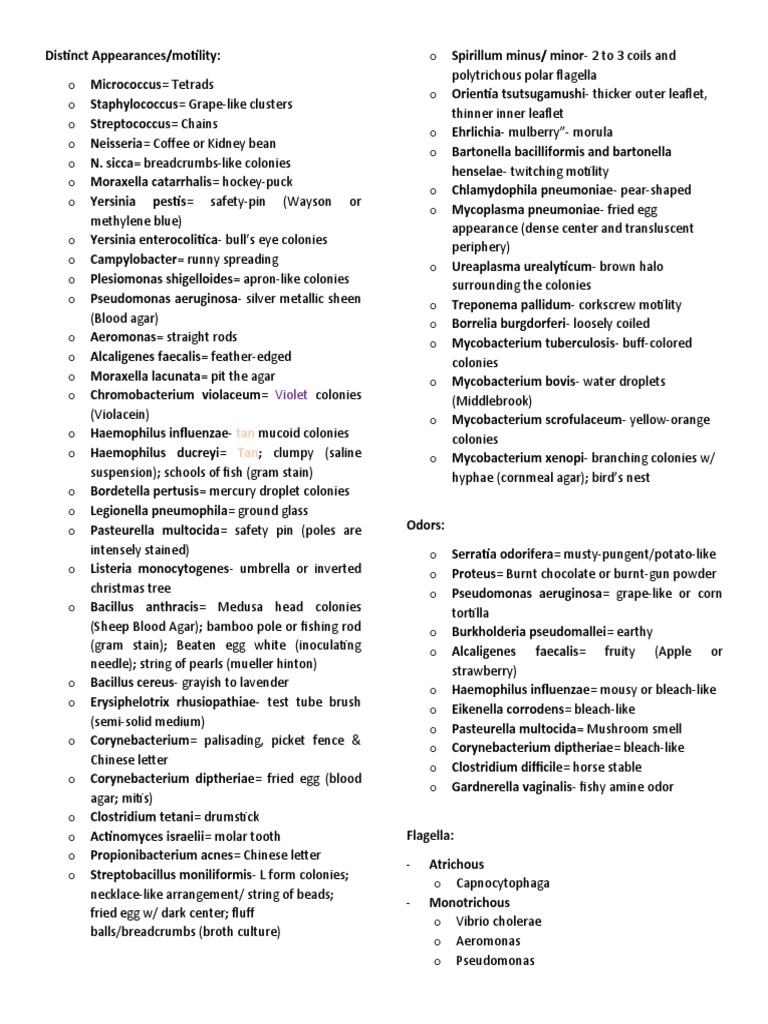 Bacteriology Summary | PDF | Bacteria | Epidemiology