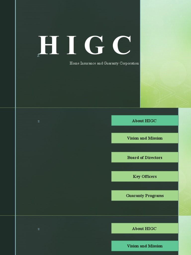 Higc | PDF | Guarantee | Loans
