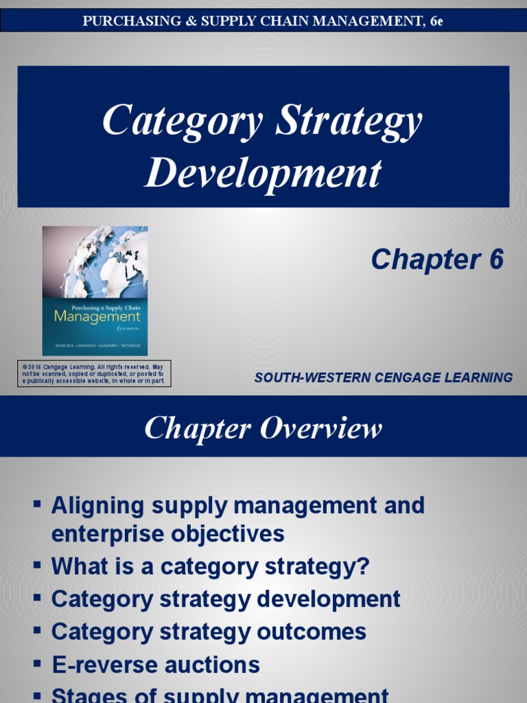Chapter 6 Category Strategy Development | PDF | Supply Chain | Supply ...