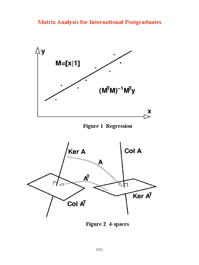 Syllabus For Matrix Analysis | PDF