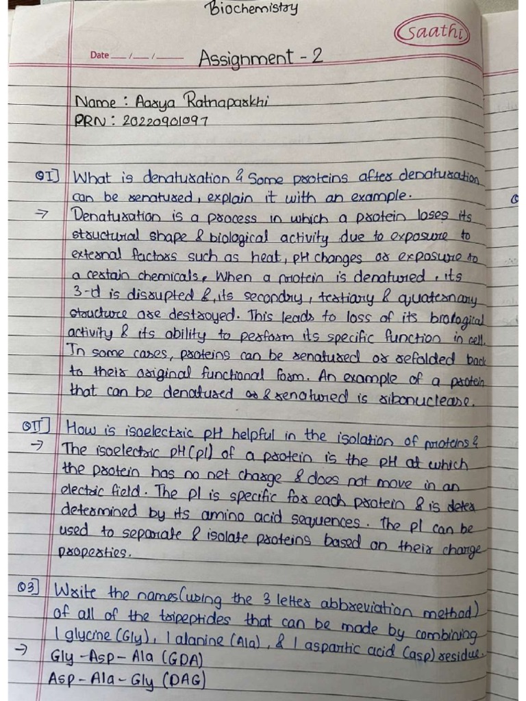 Biochemistry Assignment 2 | PDF
