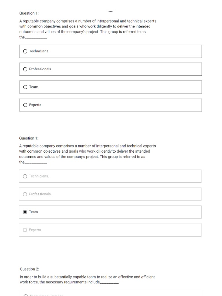 Team Performance Quiz | PDF