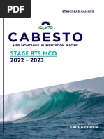 Diapo E33 Situation 2 FDRC PFMP 2 - Finale | PDF | Évolution de carrière | Affaires