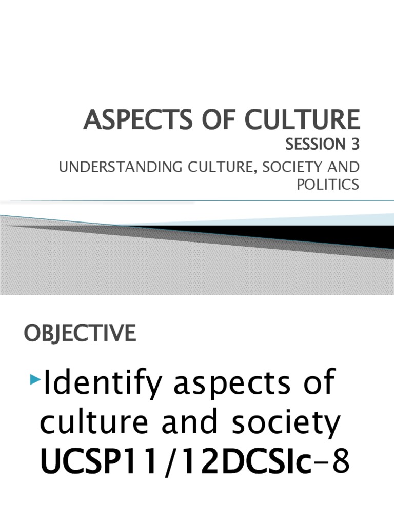 Aspects of Culture 2 | PDF