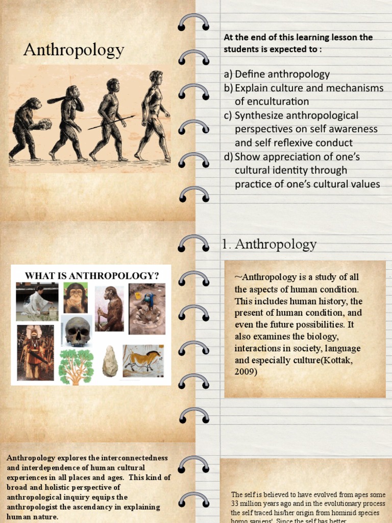 Presentation 1 | PDF | Anthropology | Human