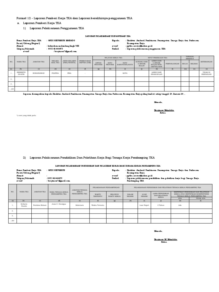 A.Laporan Penggunaaan TKA | PDF