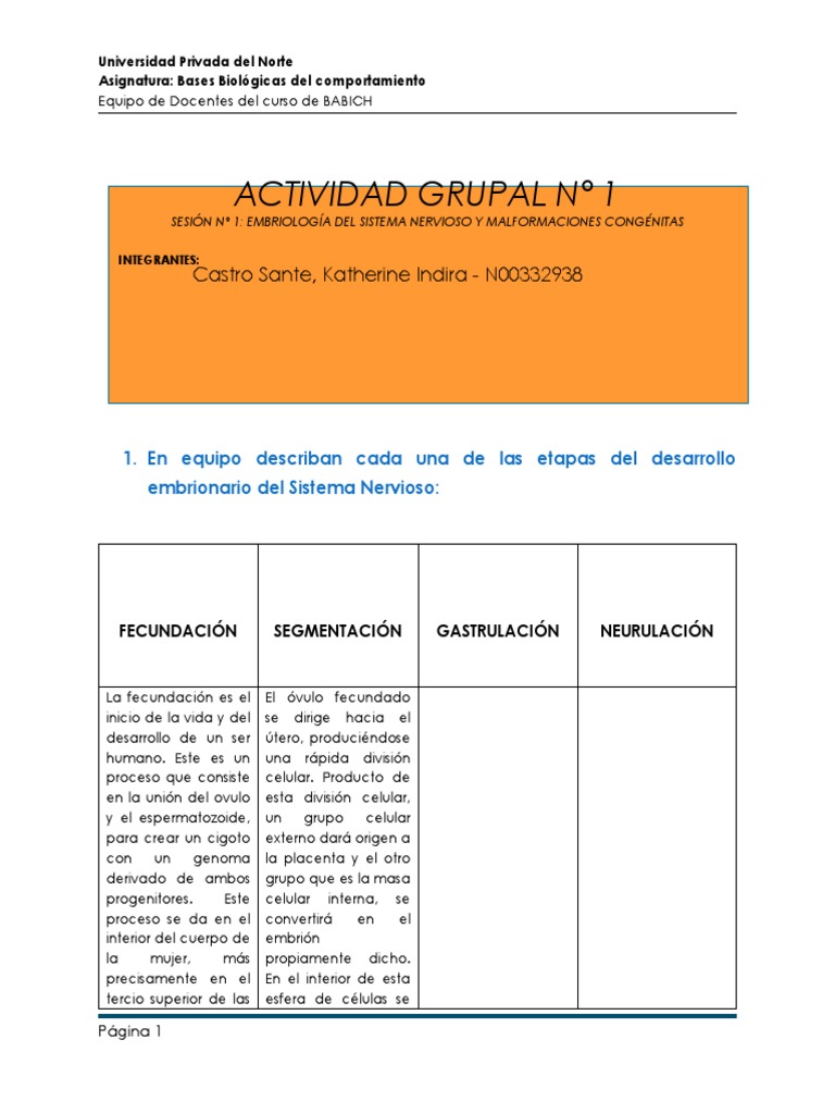 Actividad Grupal #1 Desarrollado | PDF | Embrión | Biología