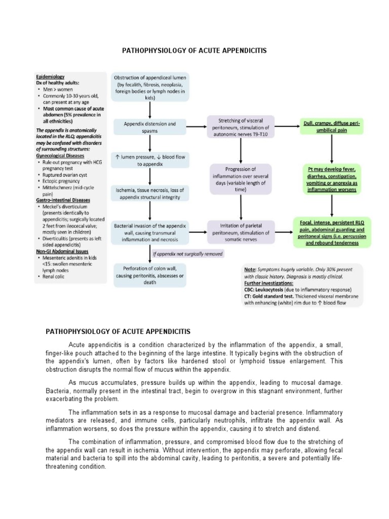 Pathophysiology of Acute Appendicitis | PDF