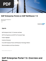 SAP Business Client 8.00 | PDF | Microsoft Windows | Mobile App
