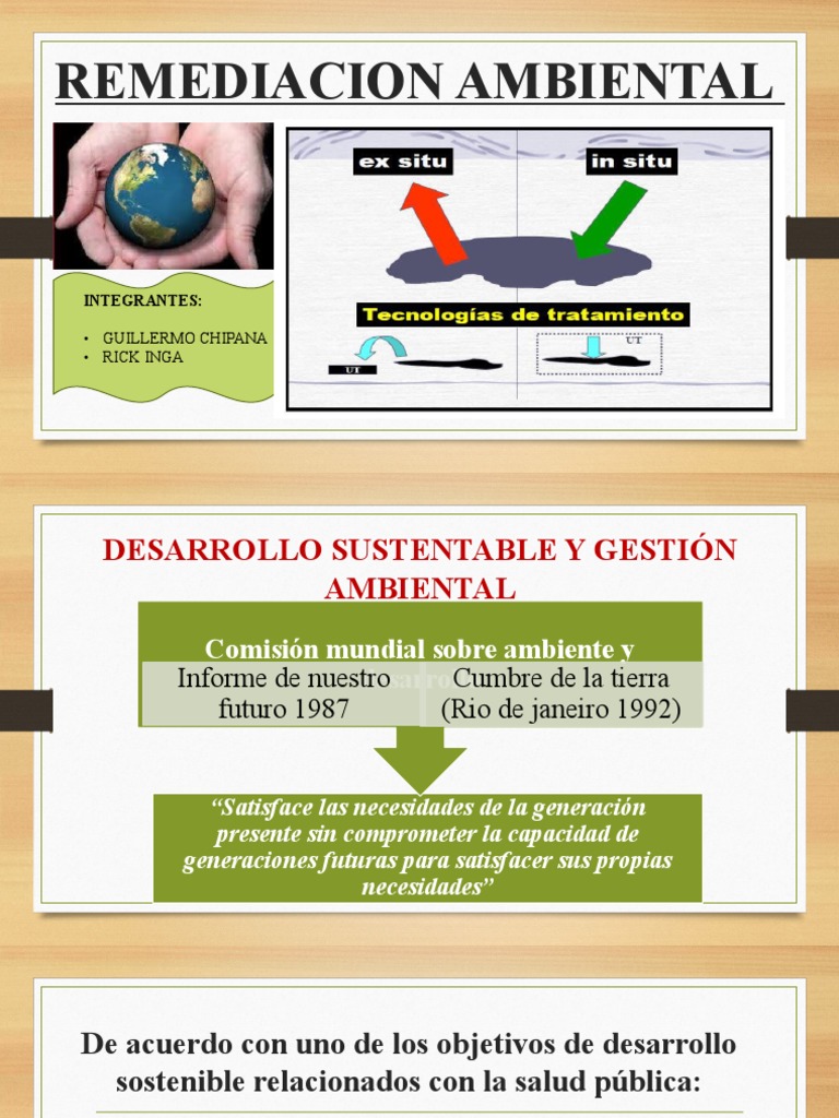 Remediacion Ambiental | PDF
