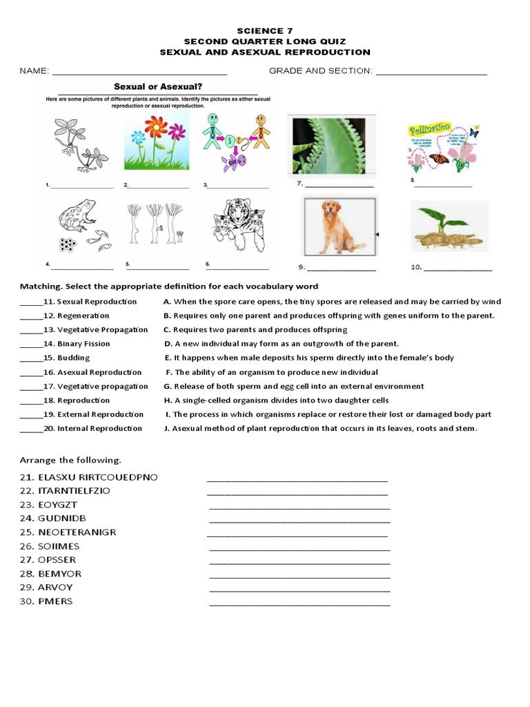 Long Quiz About Asexual and Sexual | PDF