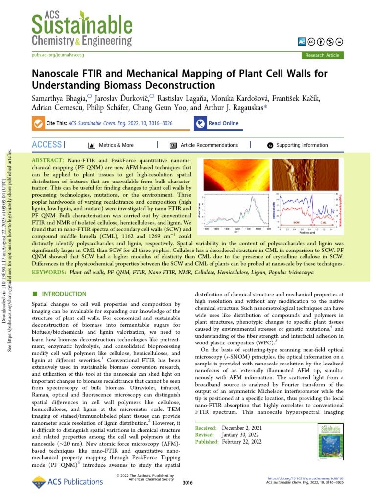 FTIR | PDF | Lignin | Cellulose