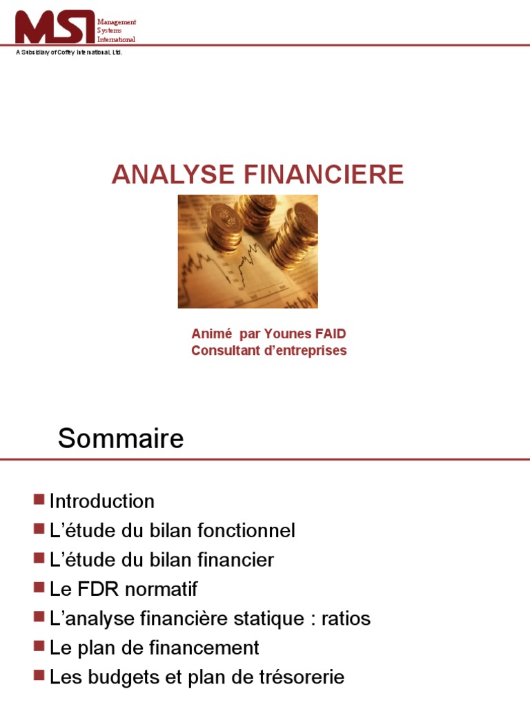 Analyse Financiere Msi | PDF | Bilan comptable | Fonds de roulement