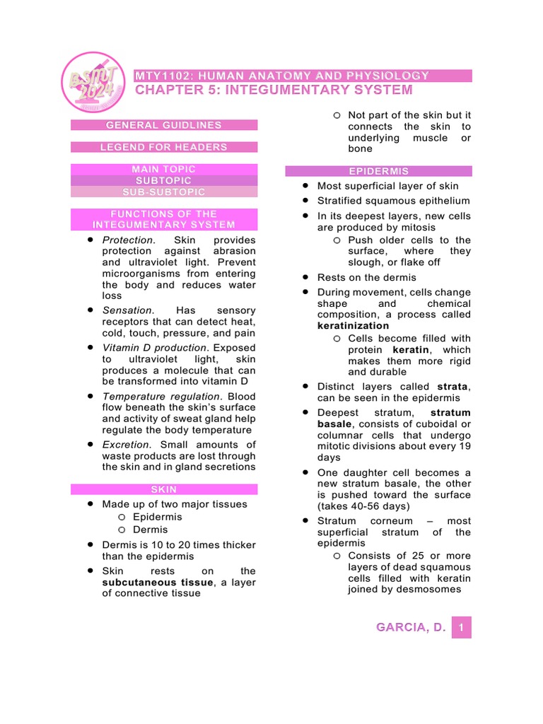 CHAPTER-5-INTEGUMENTARY-SYSTEM | PDF | Skin | Integumentary System