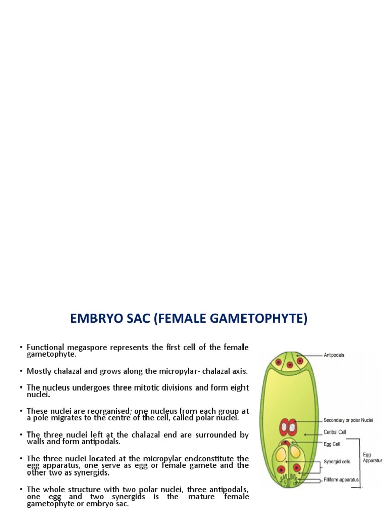 Types of Embryo | PDF | Horticultural Techniques | Reproduction