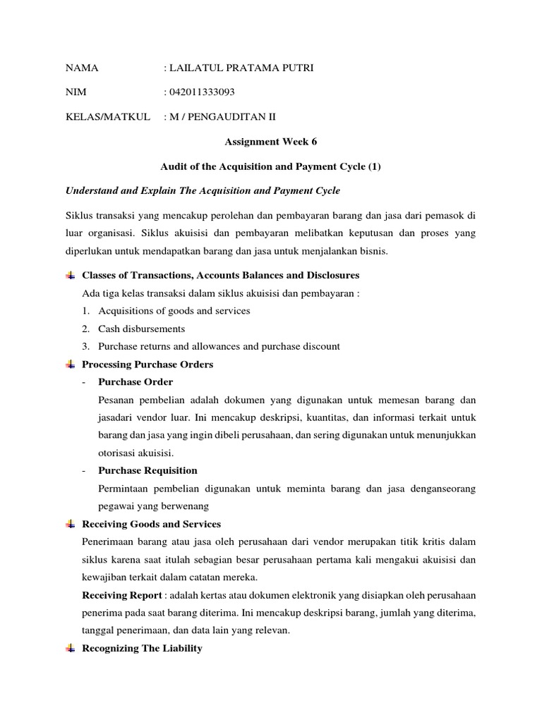 Auditing Assignment Week 6 | PDF