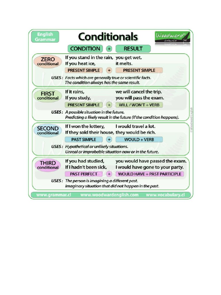Conditional Sentences | PDF