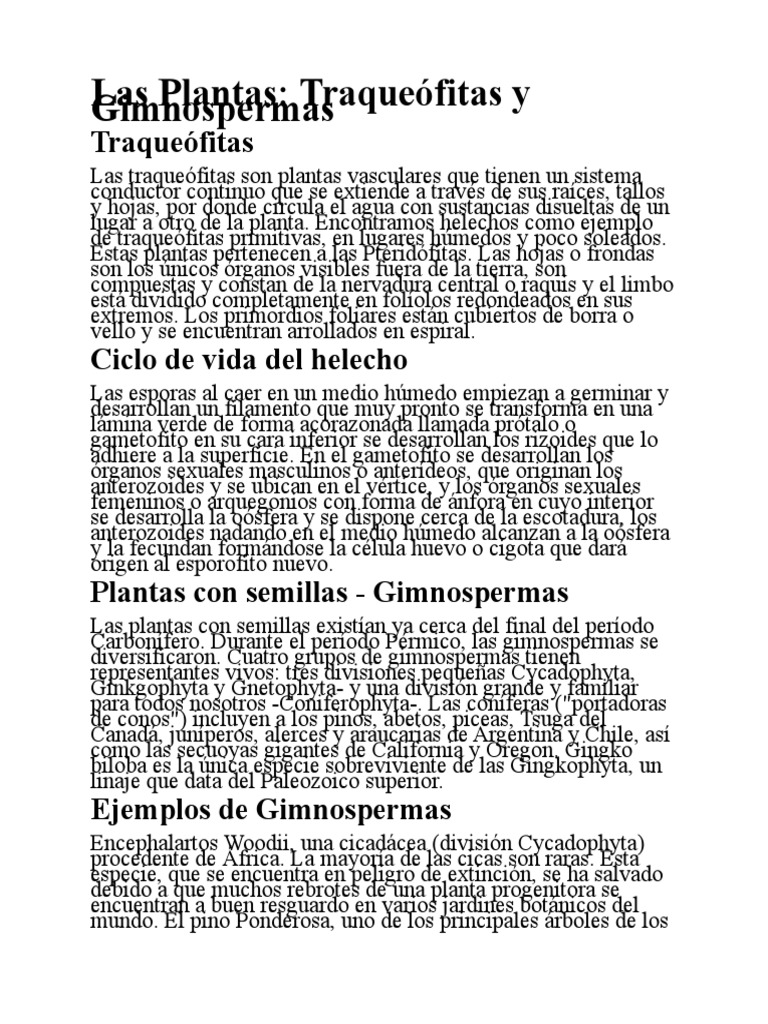 Resumen - Las Plantas - Traqueófitas y Gimnospermas | PDF | Botánica ...