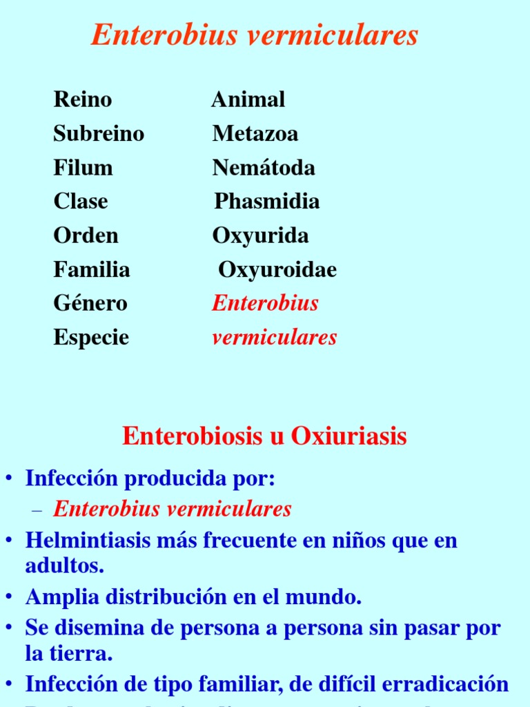 Tema 19 Enterobius Vermicularis | PDF | Ciencias de la Salud ...