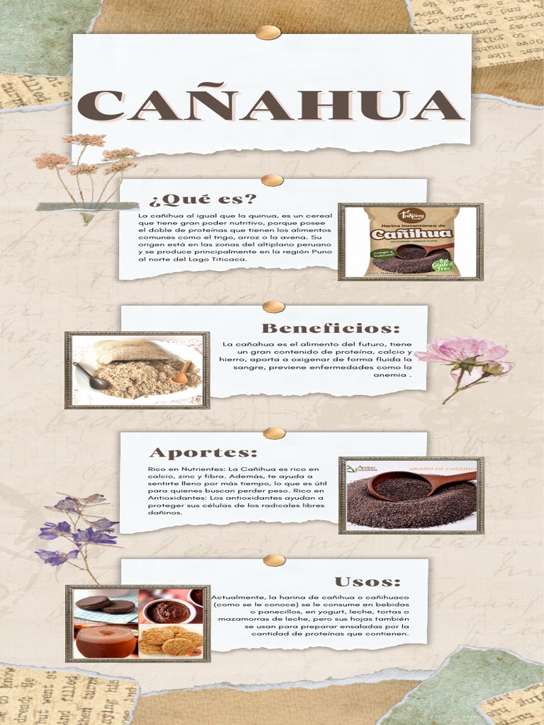 Beneficios y usos de la cañihua | PDF | Salud y bienestar