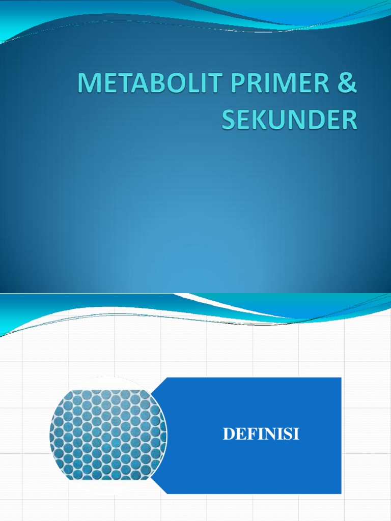 Metabolit Primer & Sekunder | PDF