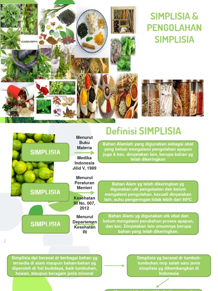 Simplisia: Bahan Obat Alami dan Pengolahannya | PDF