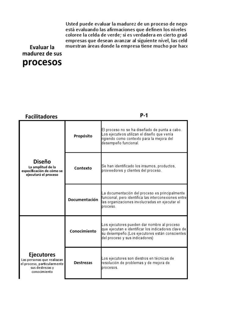Matriz para Evaluar La Madurez de Sus Procesos y Capacidades de La Empresa | PDF | Business ...