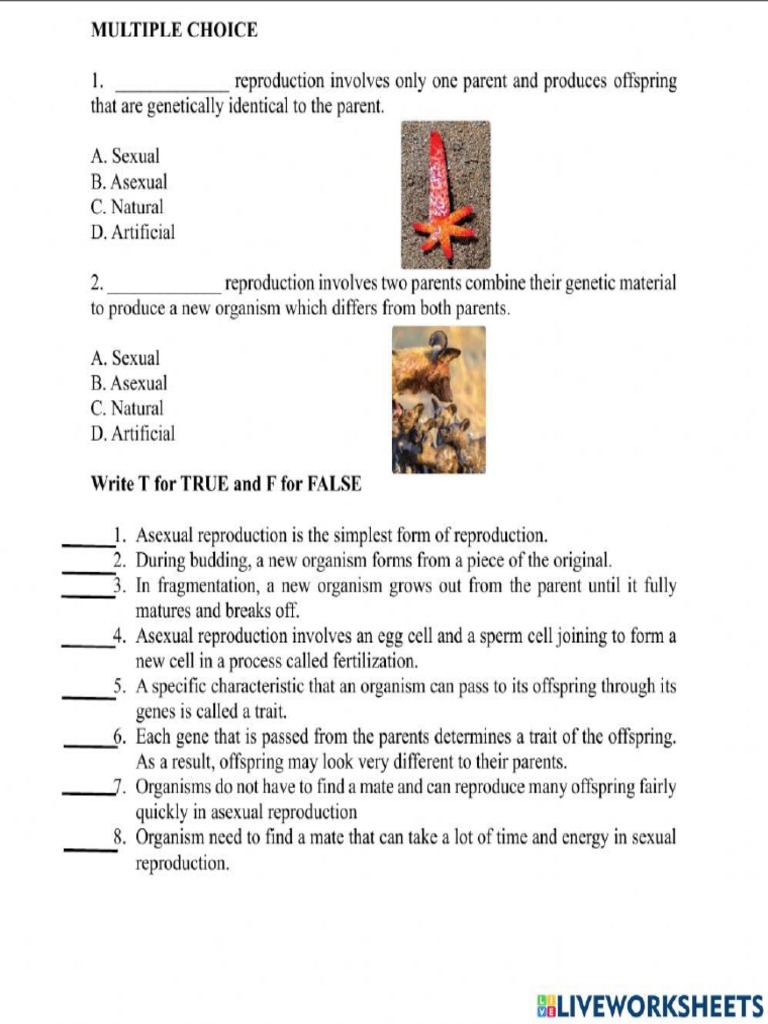 Asexual and Sexual Reproduction Worksheet | PDF