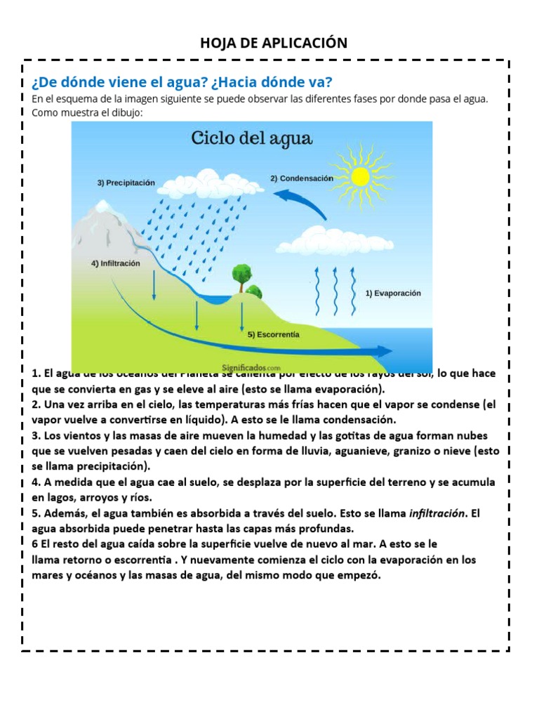 Hoja De Trabajo Sobre El Ciclo Del Agua, Sexto Grado