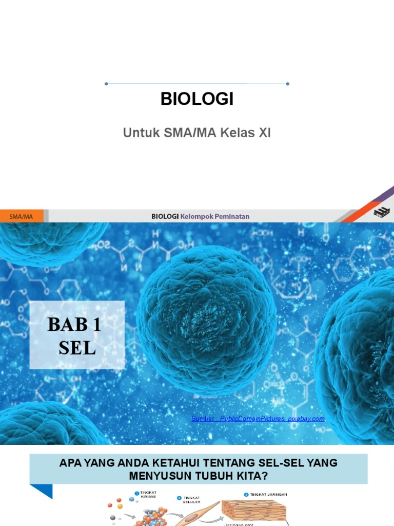BAB 1 SEL NEW STD | PDF