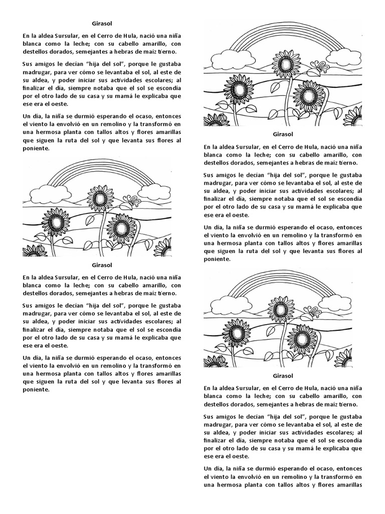 Girasol Primero Pdf