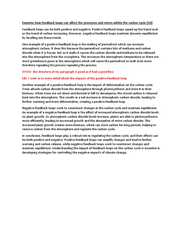 Feedback Loops in the Carbon Cycle | PDF